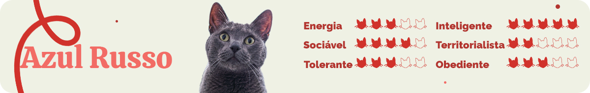 Saiba tudo sobre Azul Russo - Blog Polipet