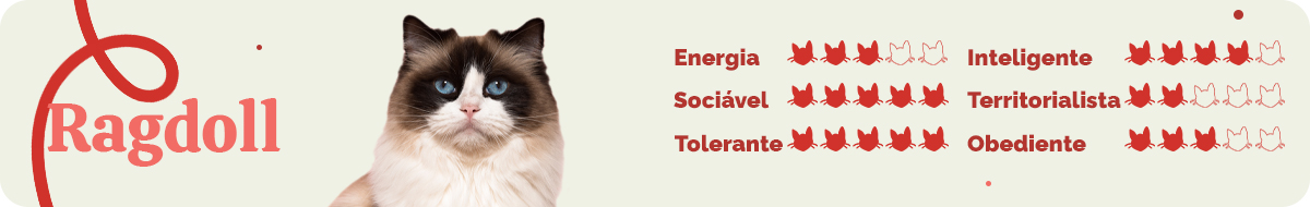 Saiba tudo sobre Ragdoll - Blog Polipet