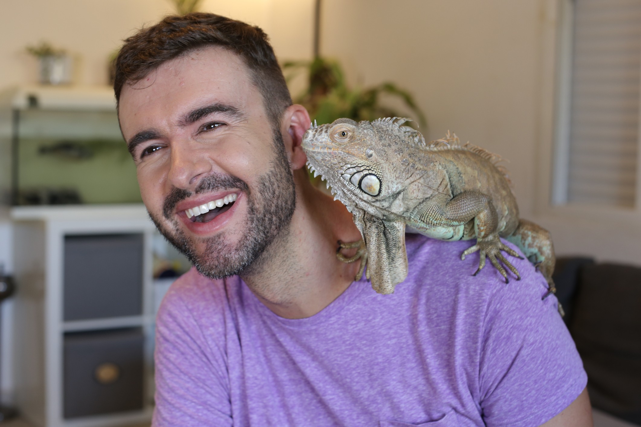 Pensando em criar lagarto de estimação? - Blog Polipet